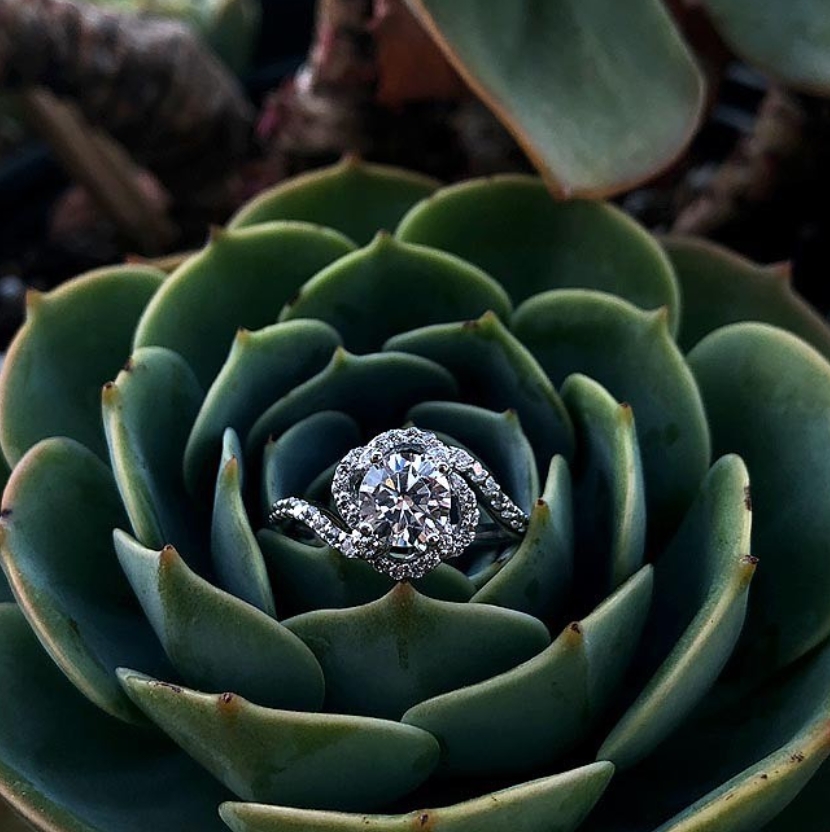 Barkev's Reviews 2022 | Brand Rated