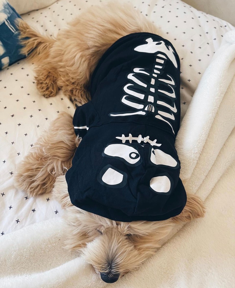 MeUndies Review 2023 - Is it Worth the Hype?