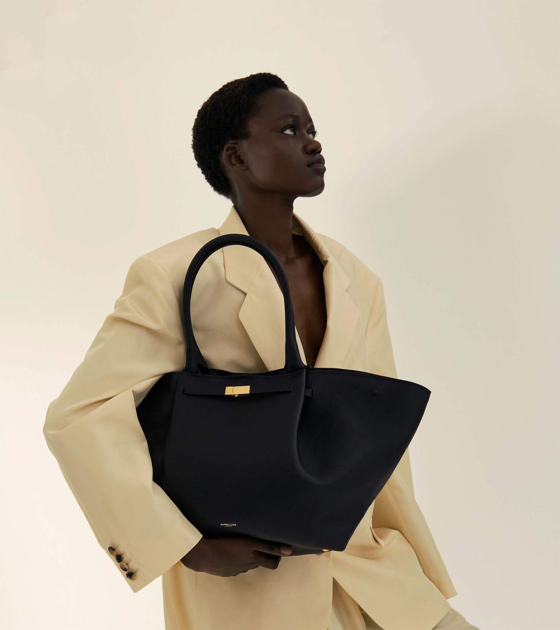 DeMellier Bag Review 2024 - Is it Worth the Hype?